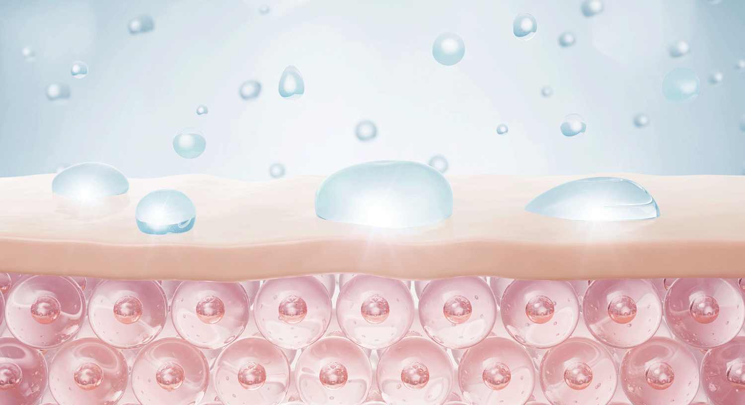 What Is Your Skin Barrier, and Why Should You Protect It? – Elysium Health