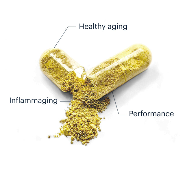 Elysium Health - Healthy Aging Supplements