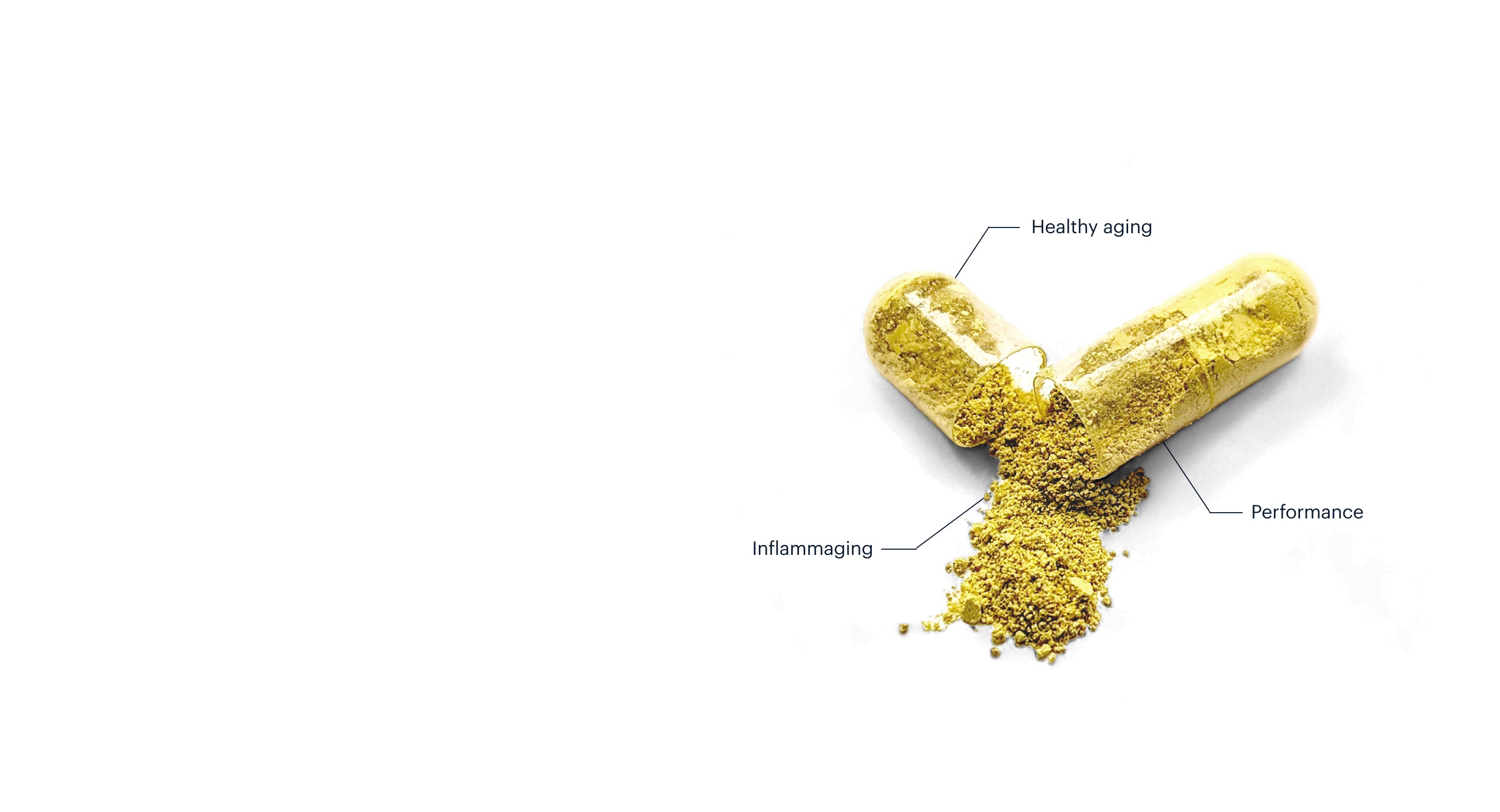 Elysium Health Healthy Aging Supplements